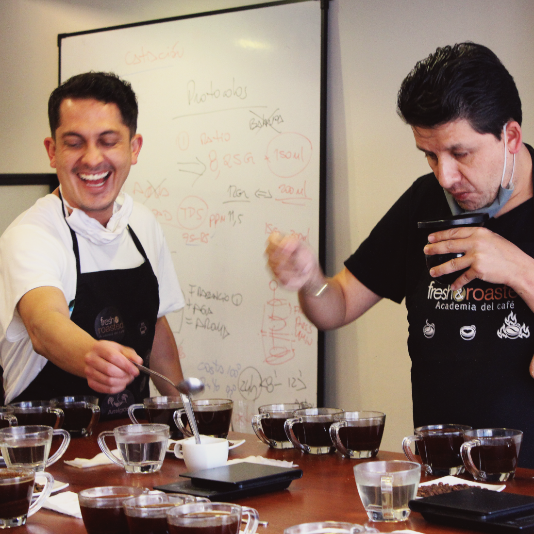 CURSO BARISMO INTEGRAL | Fresh and Sweet