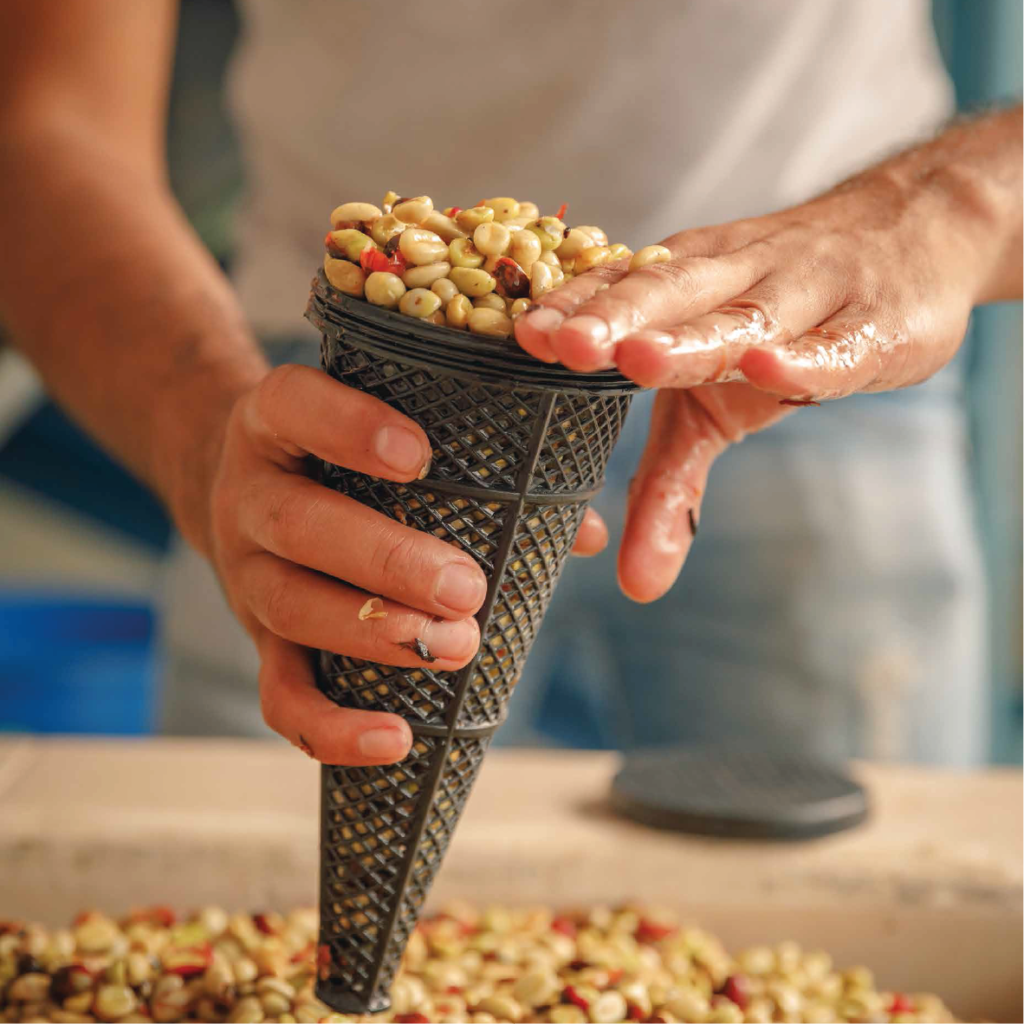 INNOVAKIT FERMAESTRO | Fresh and Sweet